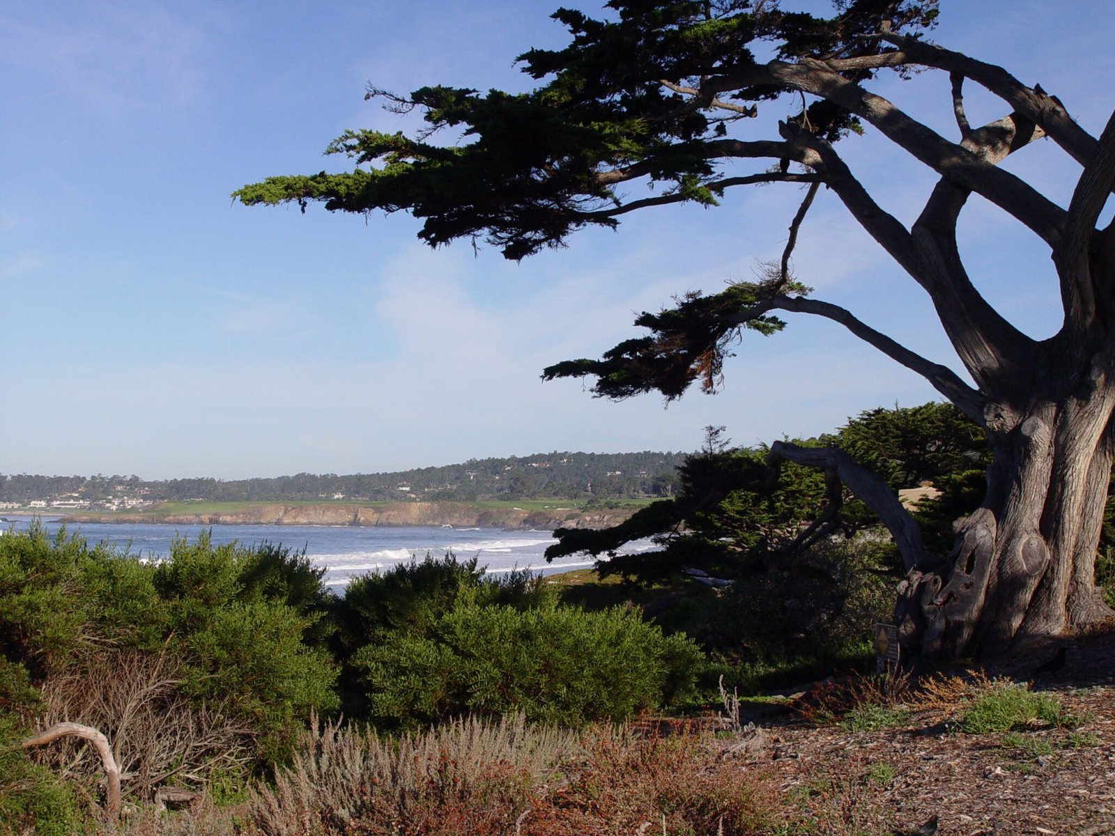 Del Monte Shopping Center - Monterey, CA | Visit Carmel California